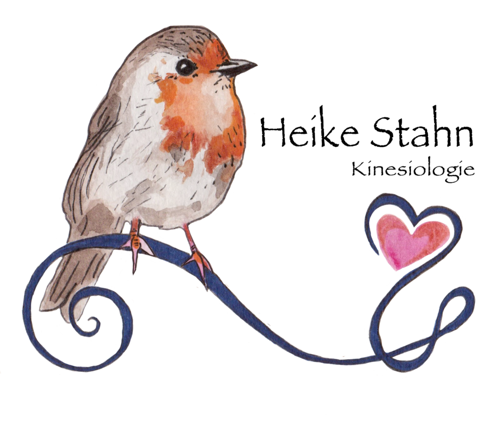 Datenschutz – Heike Stahn – Kinesiologie